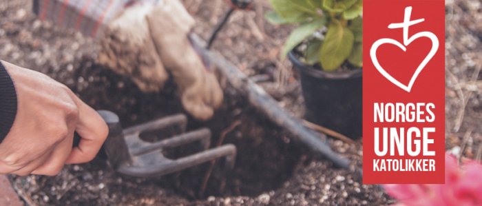 NUKs dugnadshelg 2022 – 6. mai 2022 – Norges Unge Katolikker